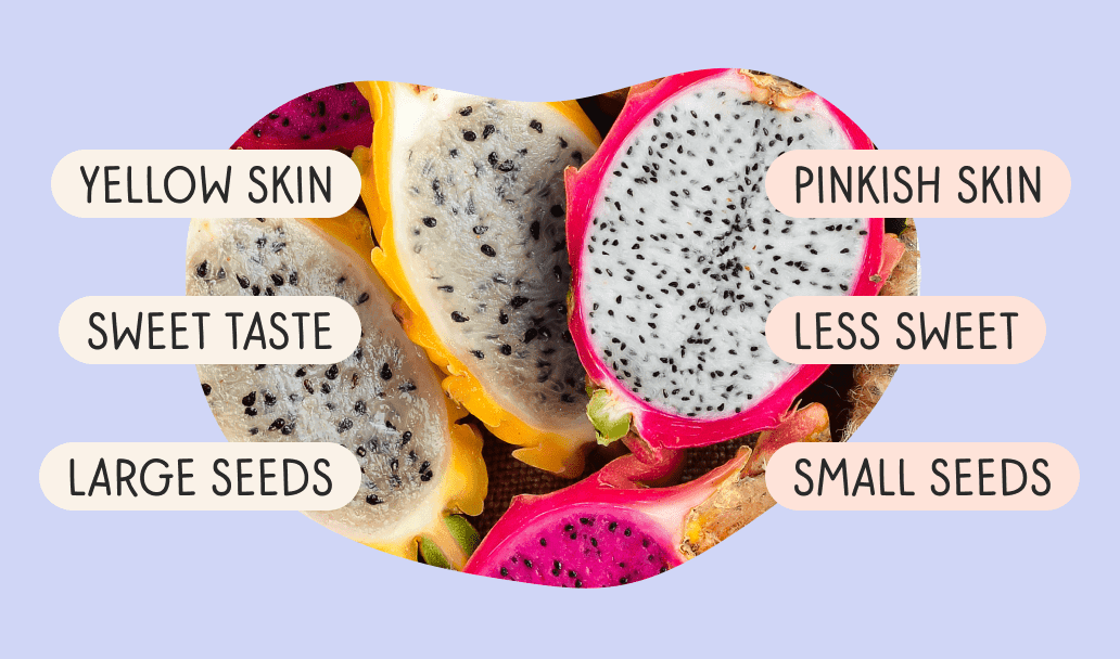 Yellow Dragon Fruit Benefits & How to Eat Yellow Dragon Fruit — Unimeal