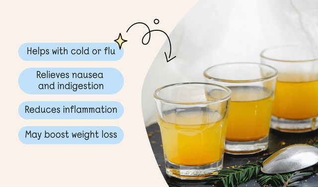 Ginger Shot Benefits: Is it Good For Your Health or Not? — Unimeal